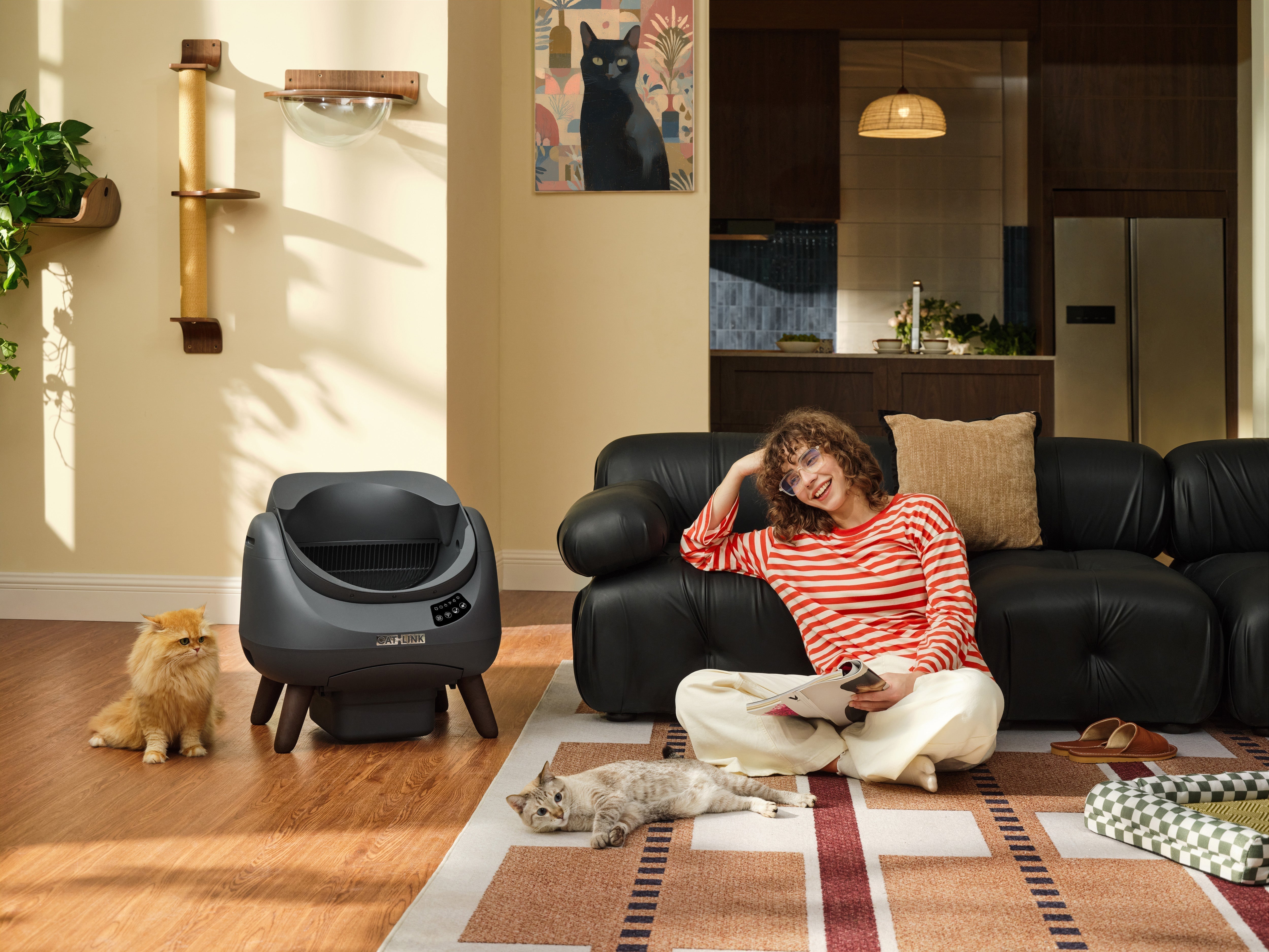 The CATLINK Story: How We Designed the Open-X Litter Box