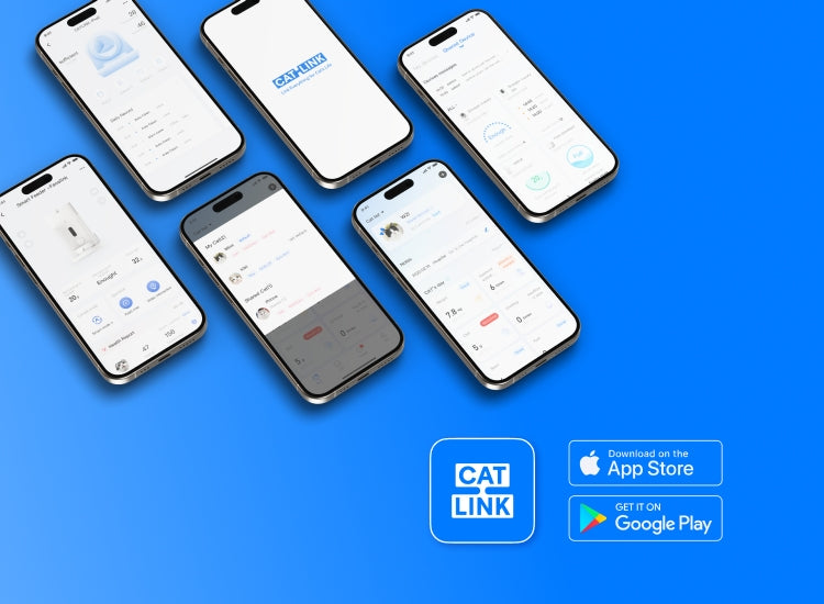 CATLINK Setup Issues: Stuck at 60% or 66%? Try These Solutions