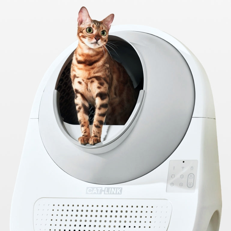 CATLINK AI 5GHz Camera Cat Litter Box - Scooper Pro Ultra Ramp Set