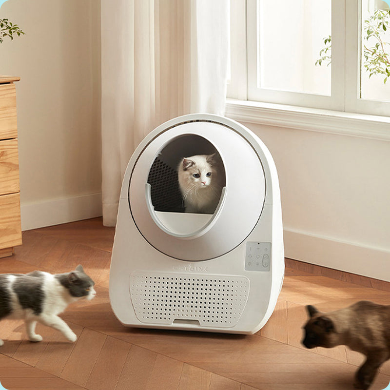 Catlink: Automatic, Self-Cleaning Litter Box for Cats