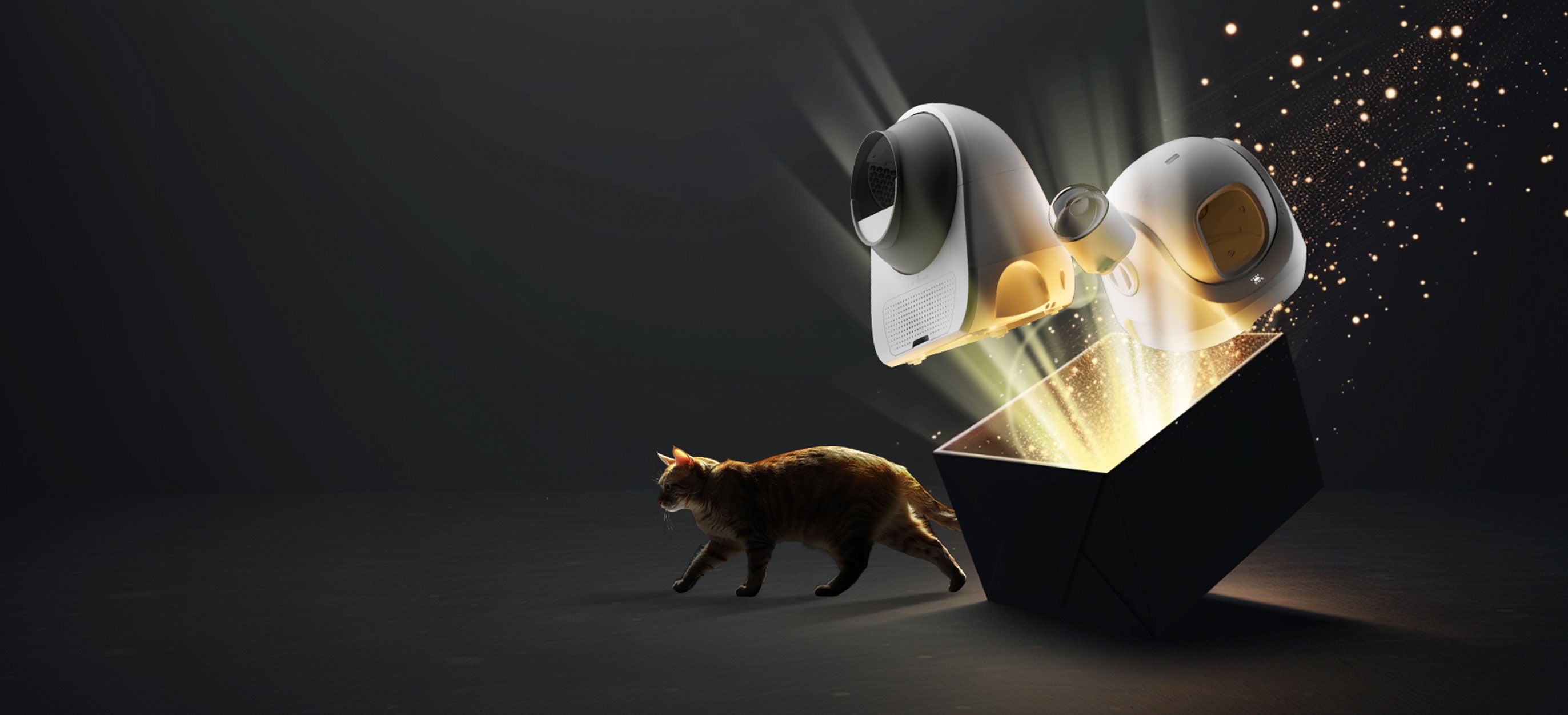 CATLINK Official Website
