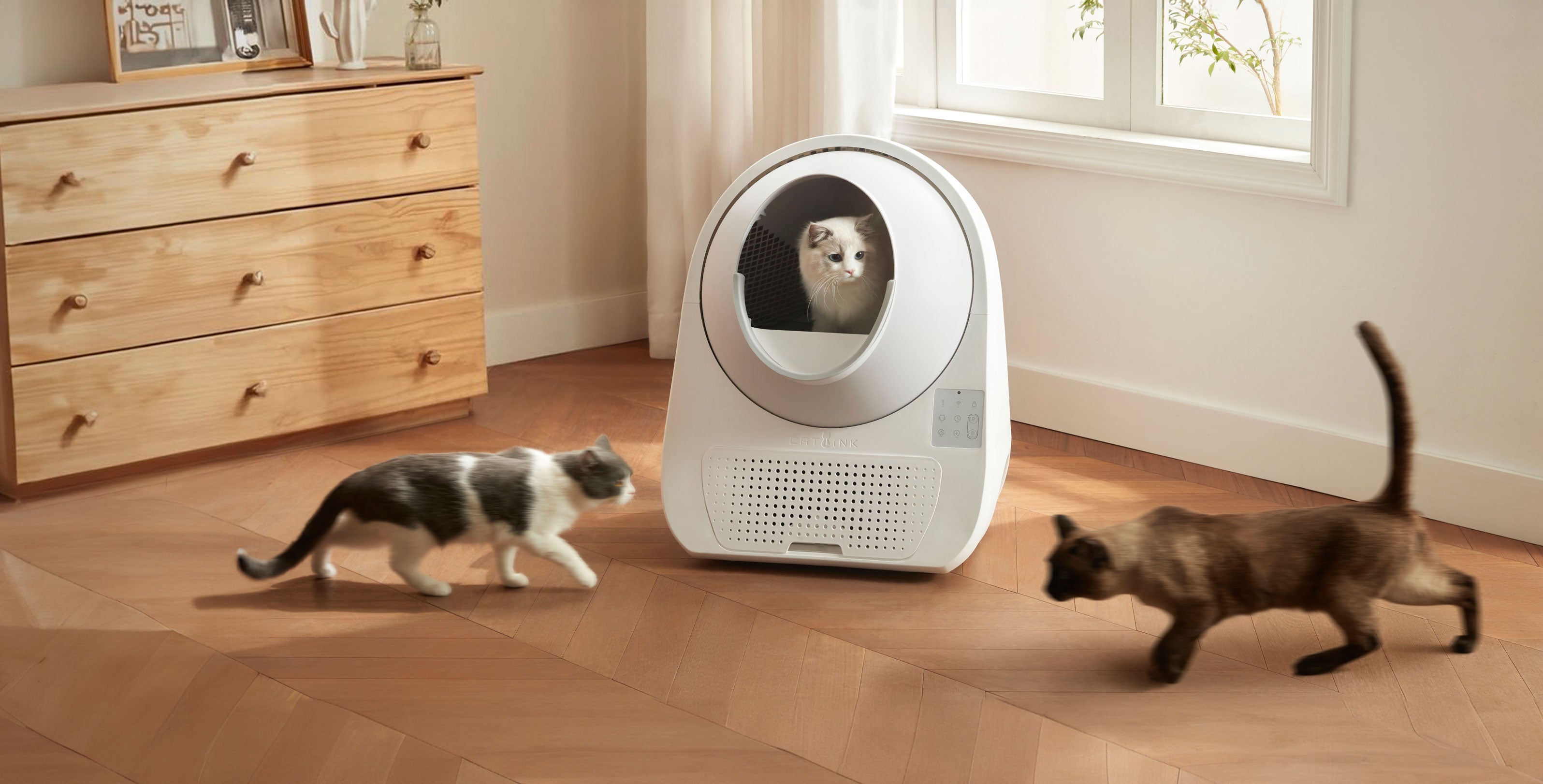 CATLINK Official Website