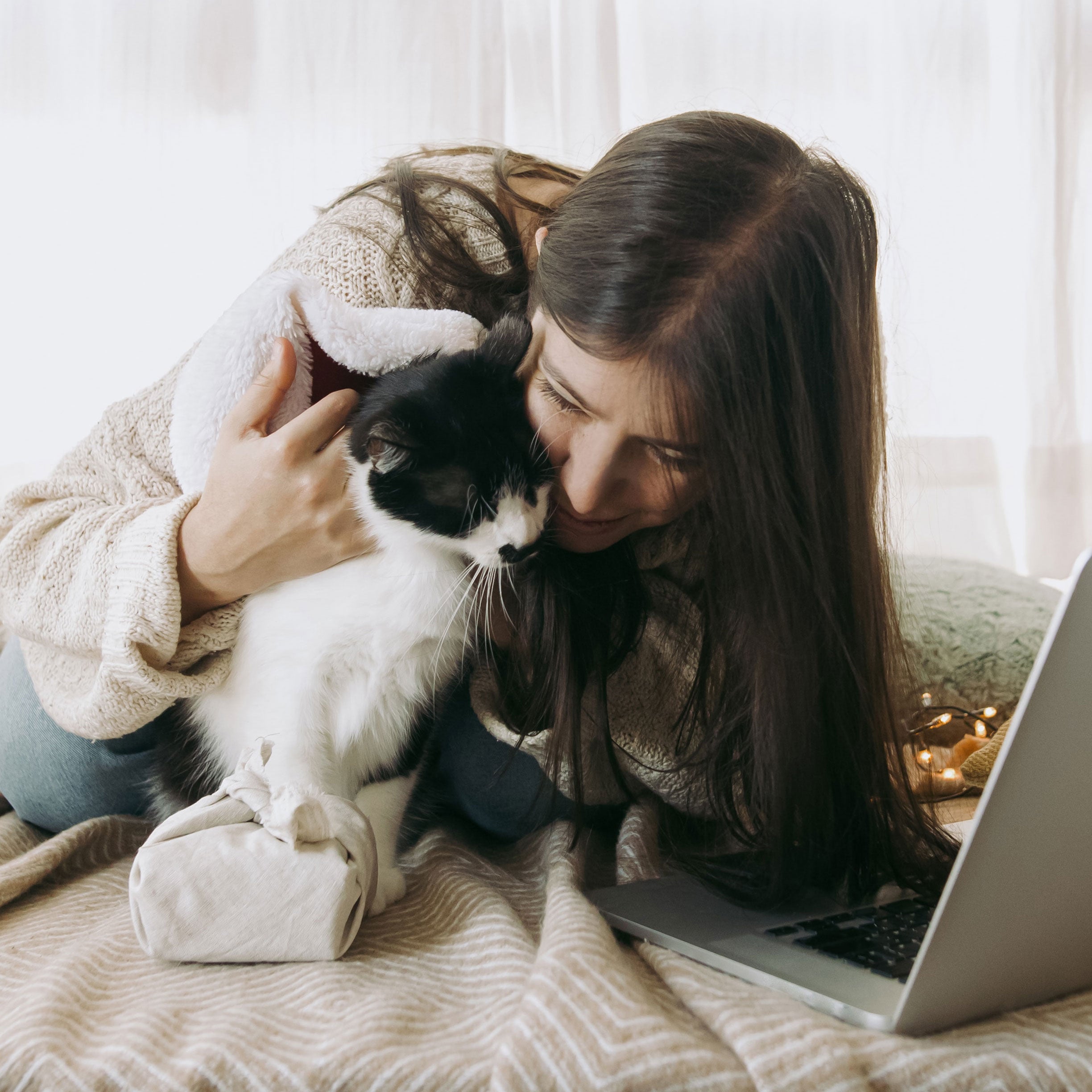 About Us – CATLINK