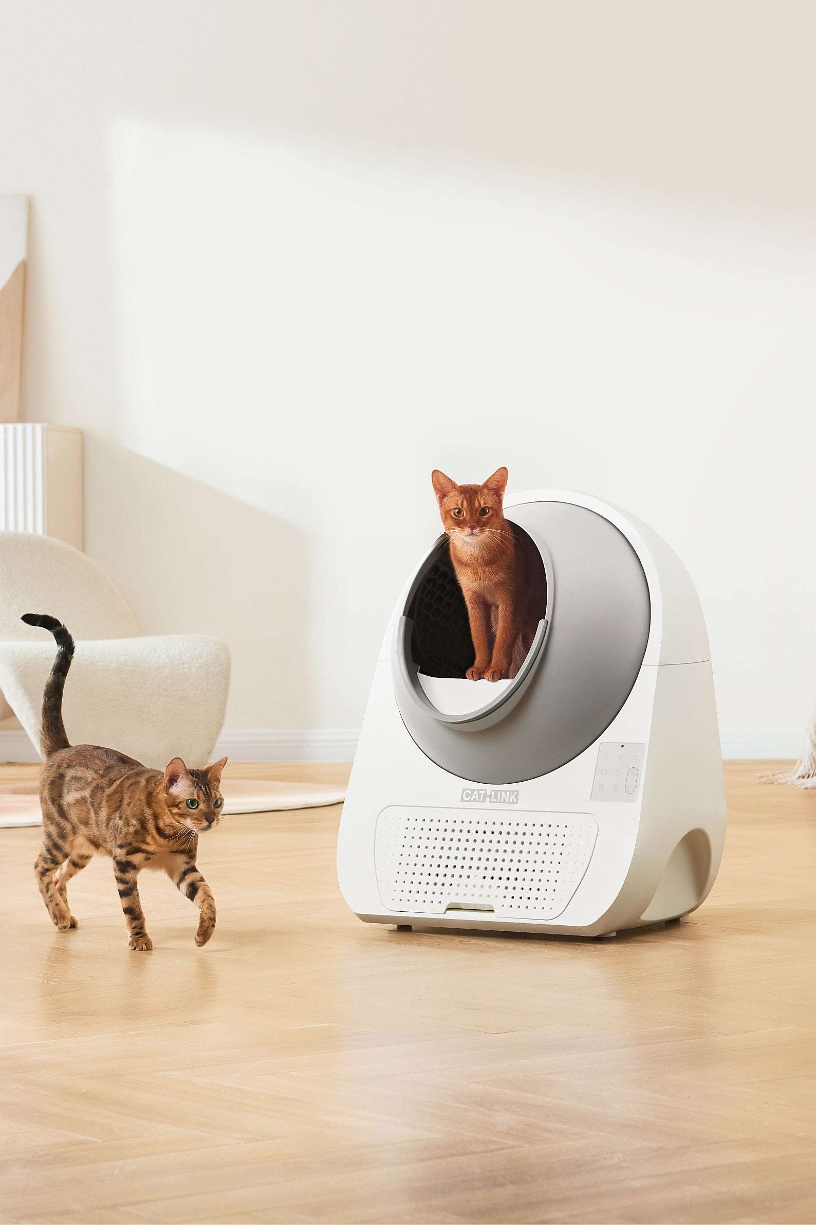 CATLINK Official Website