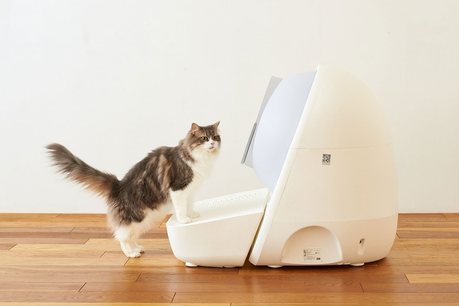 Ramp for CATLINK Scooper Luxury Pro / Luxury Pro-X / Young / Young Pro