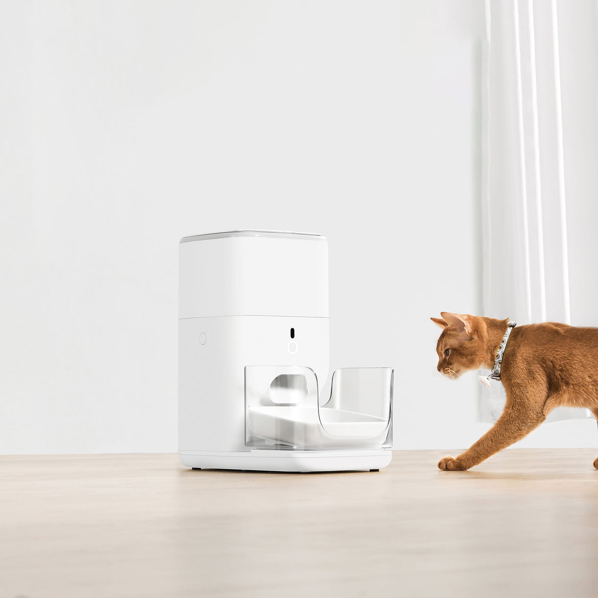 CATLINK Automatic Feeder Fresh 2 - Standard