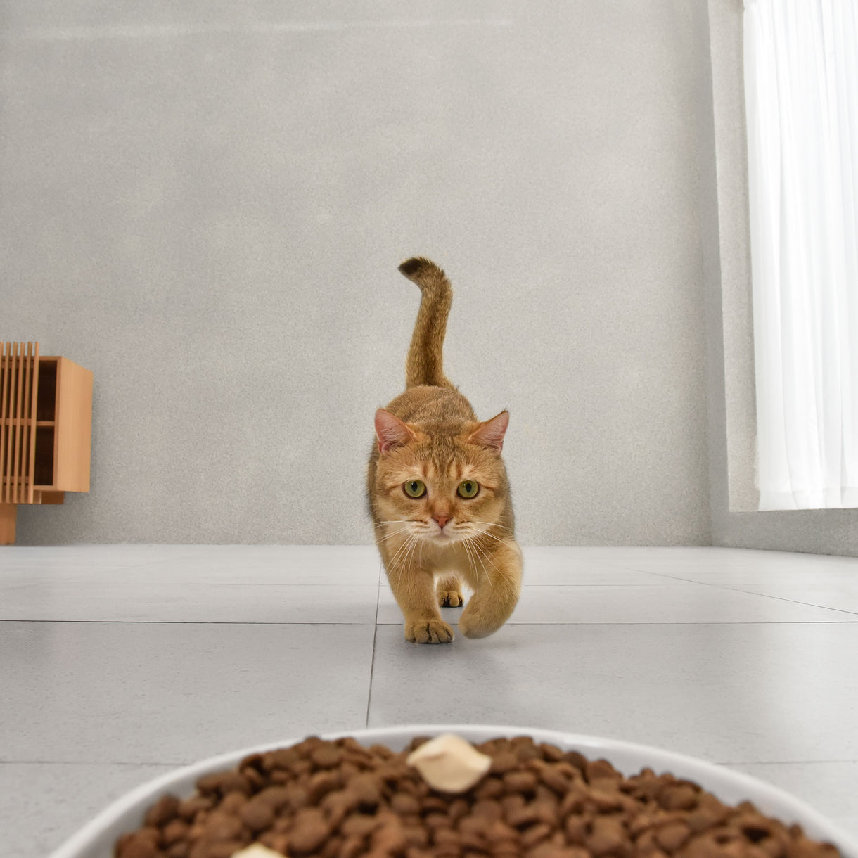 CATLINK Multi-Cat Recognition Automatic Feeder - Facelink Double Set