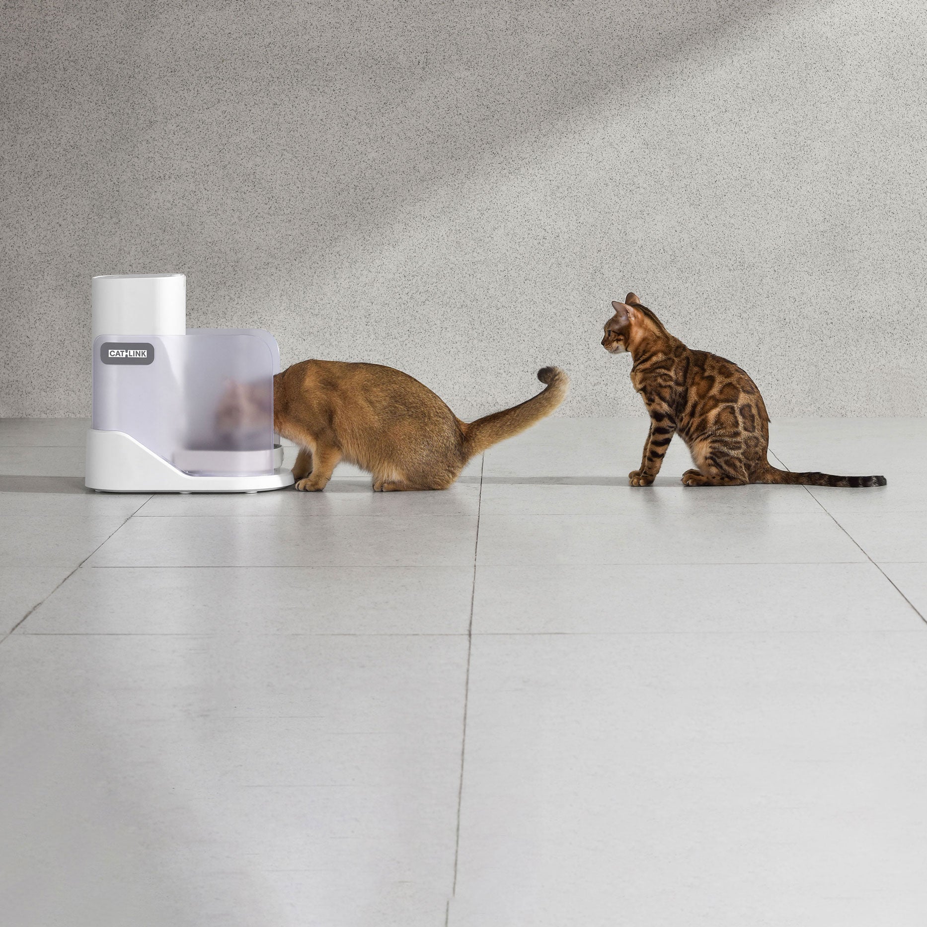 CATLINK Official Website