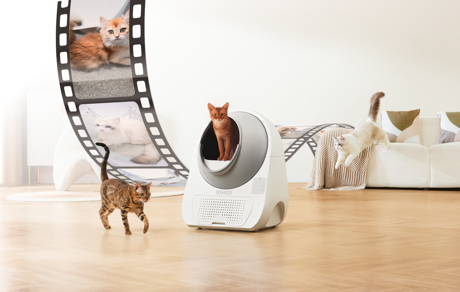 CATLINK Official Website