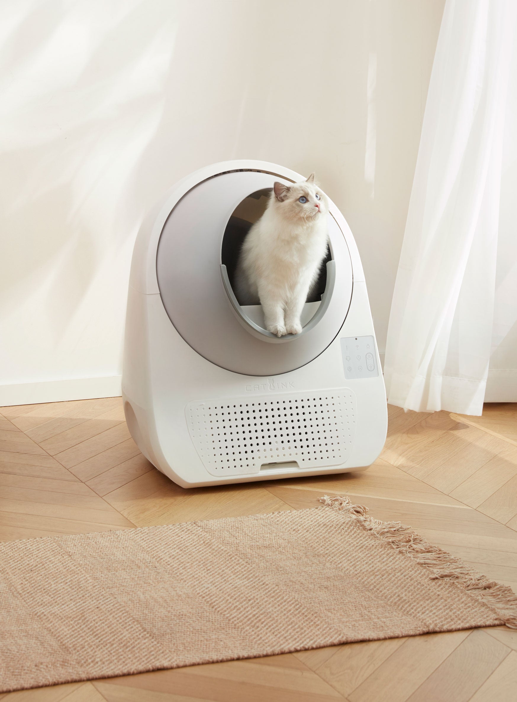 CATLINK Official Website