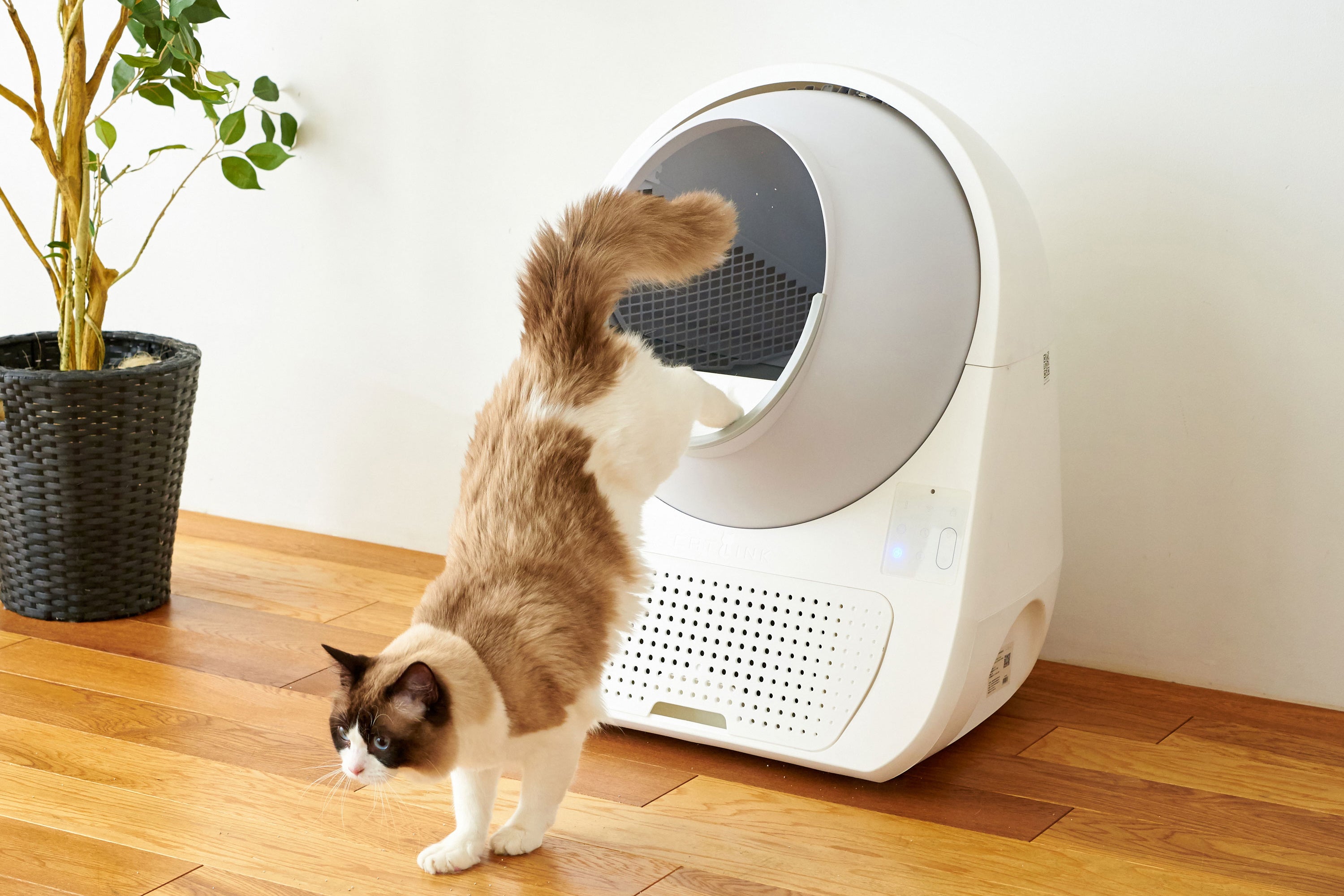 CATLINK Self Cleaning Litter Box - Scooper Luxury Pro-X Stair Set